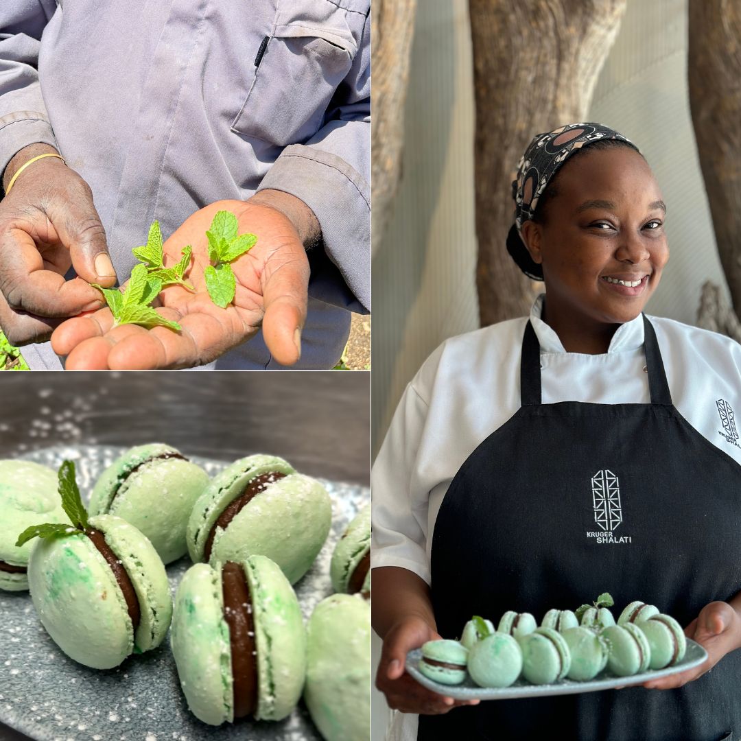 THE KRUGER KITCHEN - Kruger Shalati